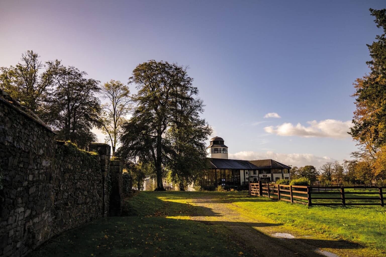 The Busker - The Distillery