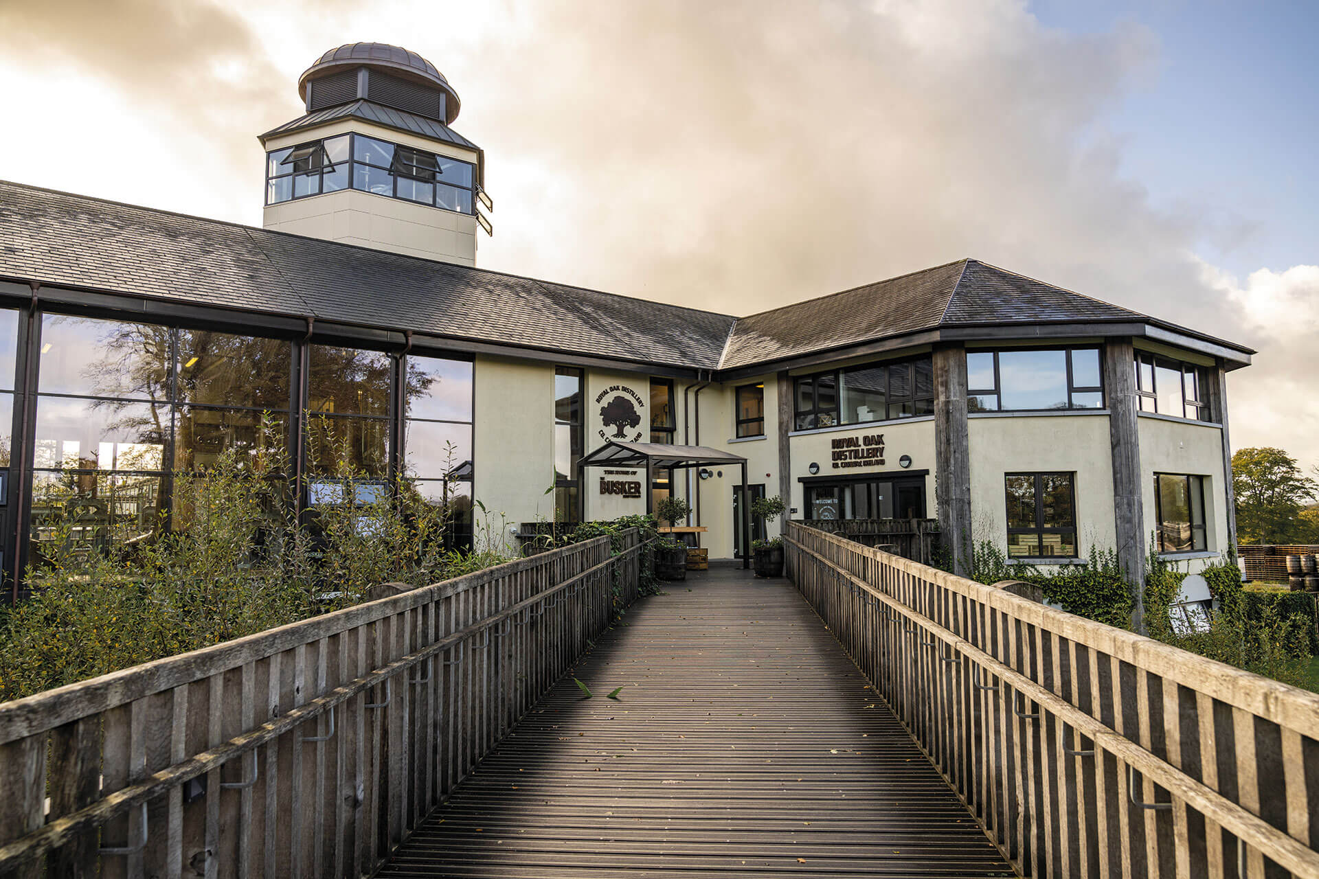 The Busker - The Distillery
